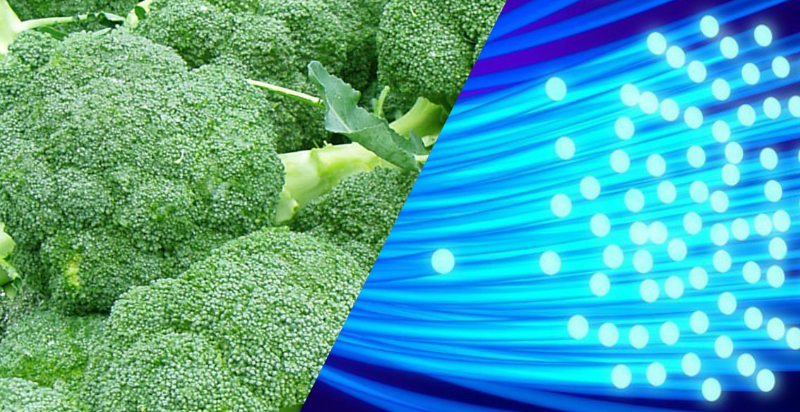 Fiber Internet is #notthatkindoffiber - Cruzio Internet