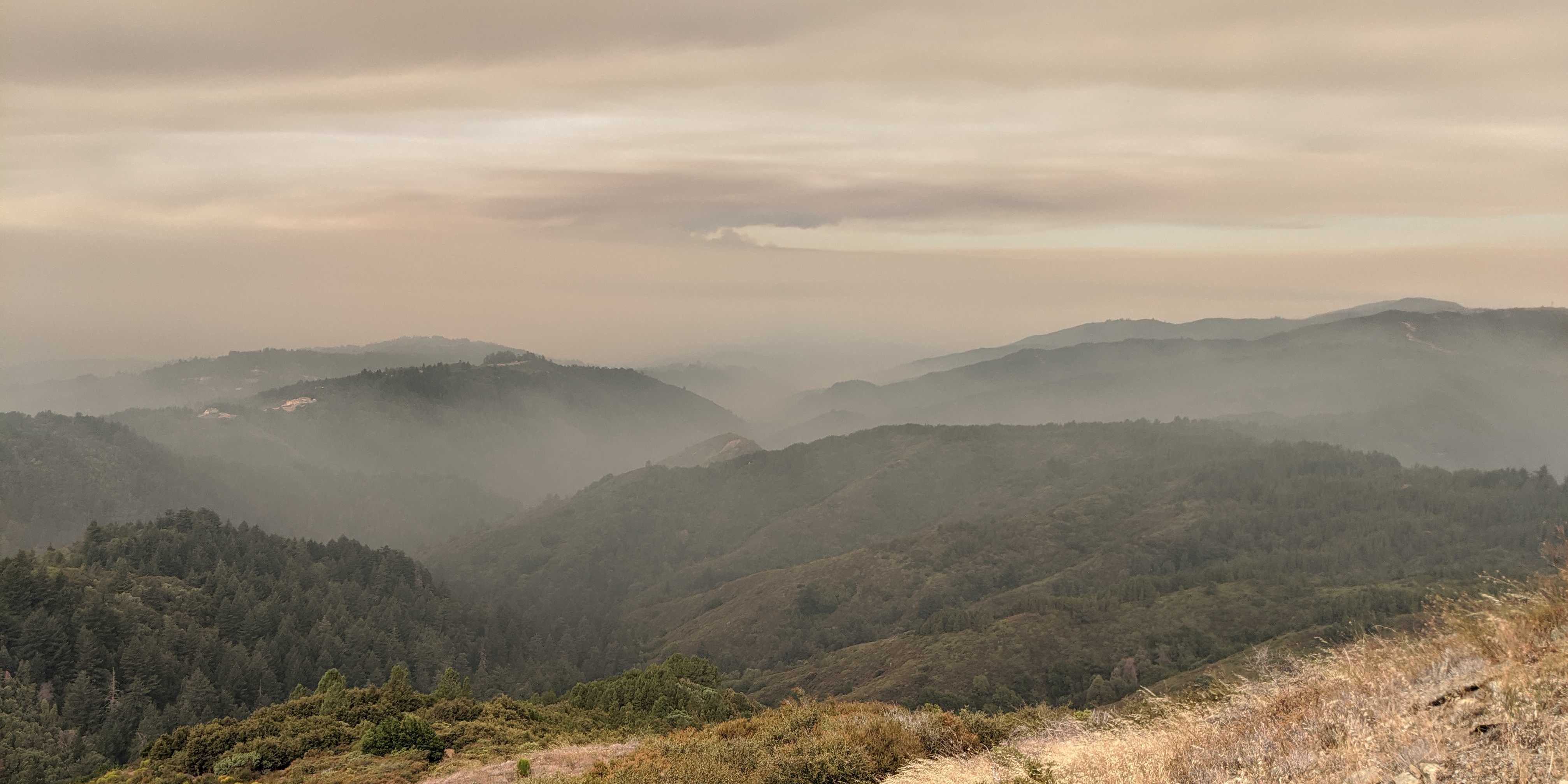 Evacuated? Cruzio Is Supplying Free WiFi - Cruzio Internet