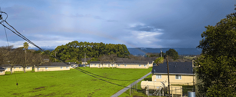 Our Local Employees are Creating Equal Access - Cruzio Internet